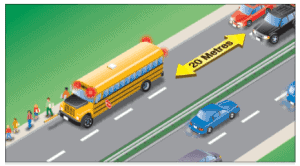 Yield to School Buses – Safety Dawg Inc.
