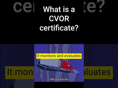 What is a CVOR Certificate - Safety Dawg Inc.